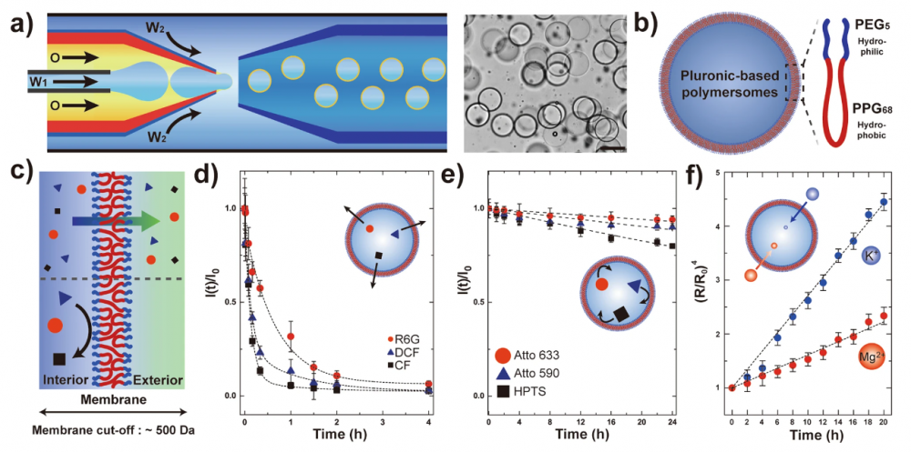 Spatiotemporal Control Of Signal Driven Enzymatic Reaction In