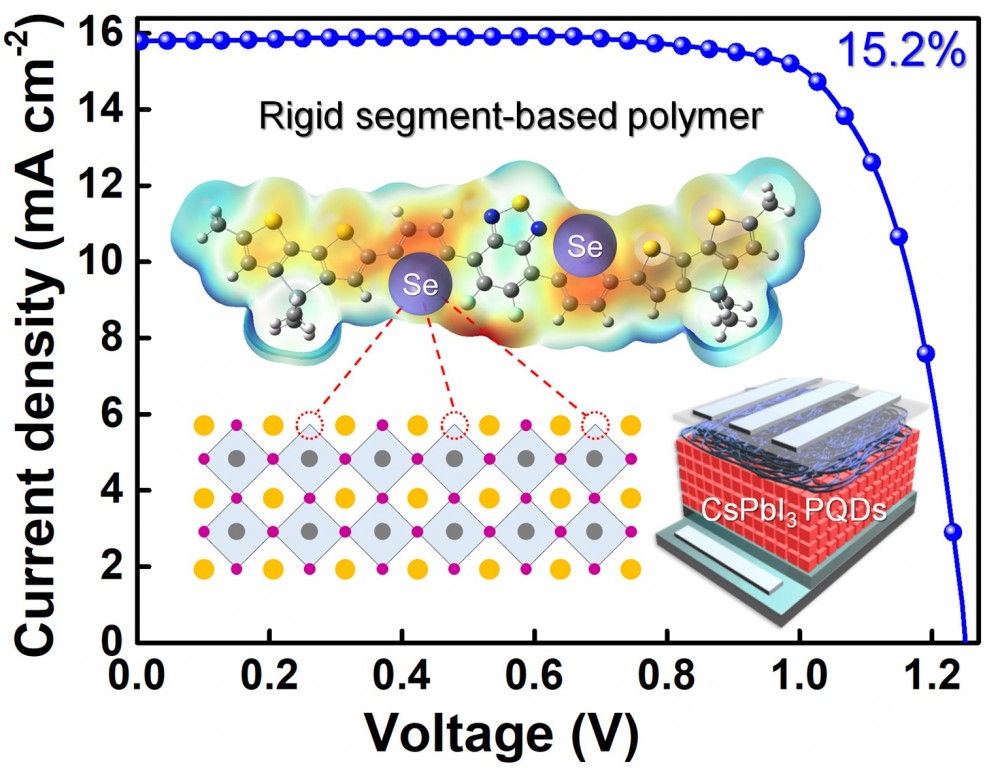 Tailoring Rigid Segments in Dopant-Free Polymeric Hole Transport Materials for Perovskite ...
