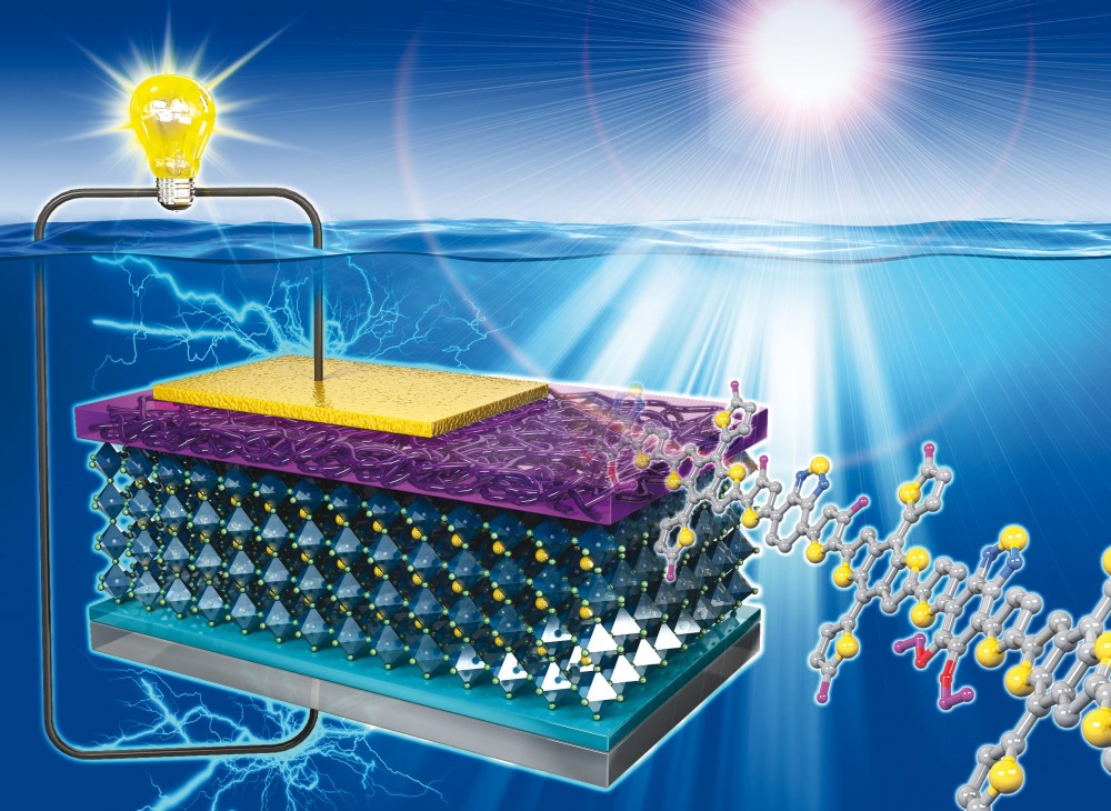 Dopant-free polymeric hole transport materials for highly efficient and stable perovskite solar ...